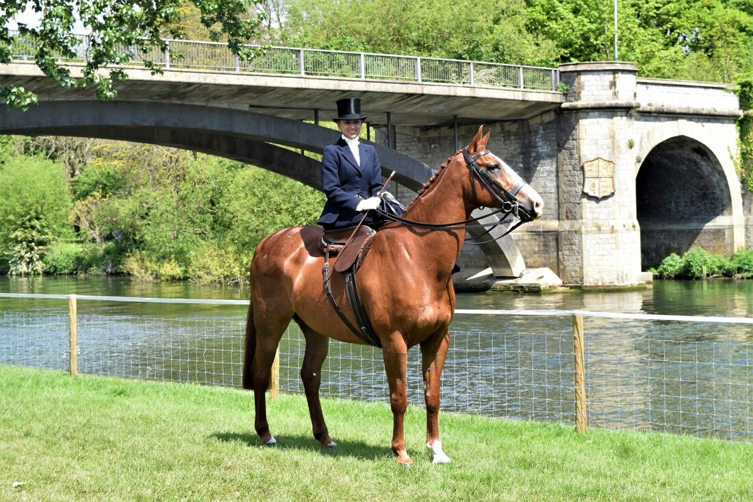 Origins and How to Properly Ride a Horse in Side Saddle Form