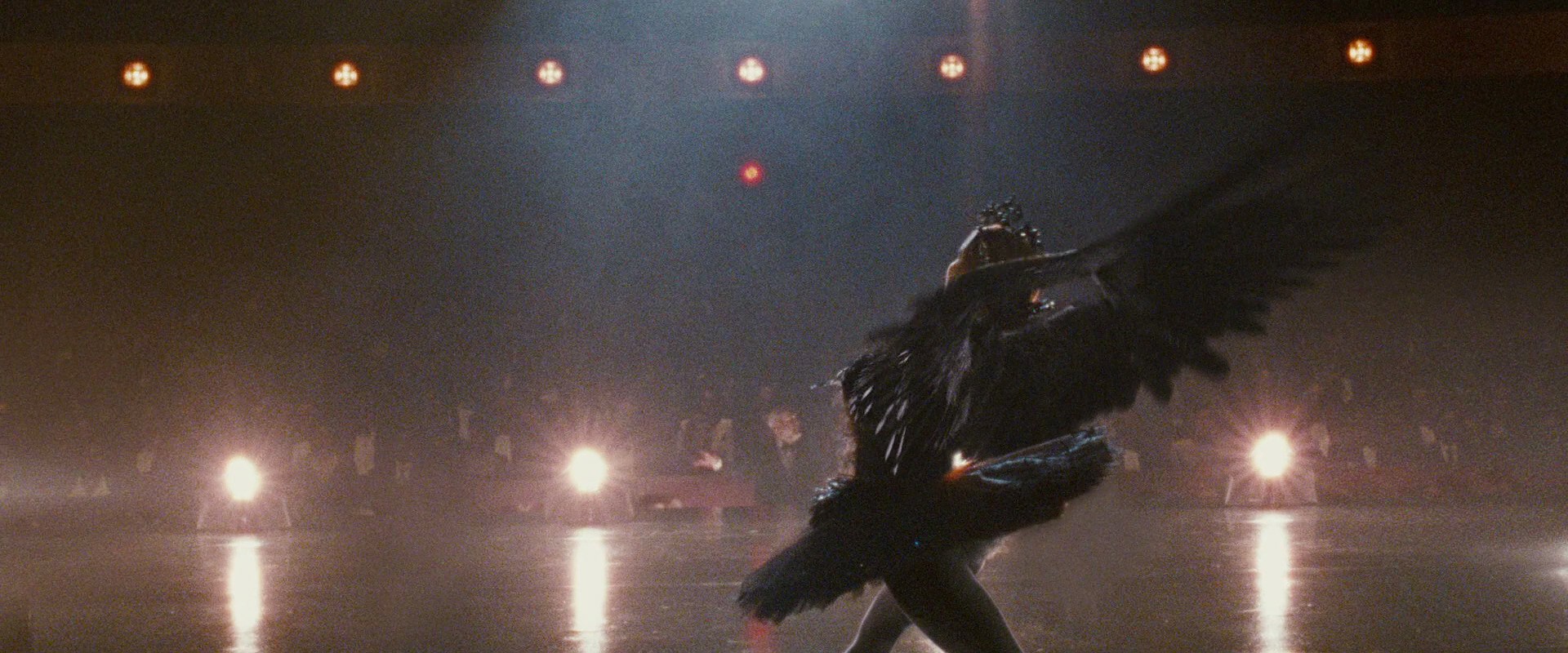 The Meaning of "Black Swan" Explained - The True Colors